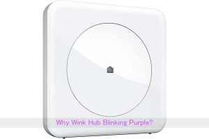 Wink Hub Blinking Purple: 4 Things To Check | Automation Gears